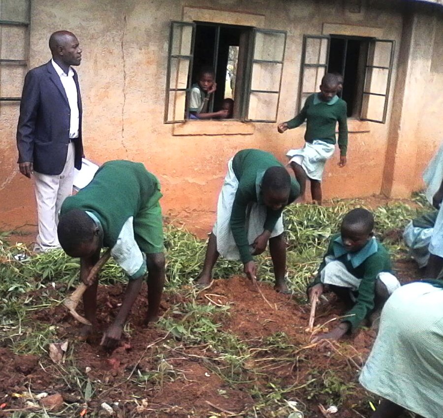 Interventions Through Schools – Rural Outreach Africa