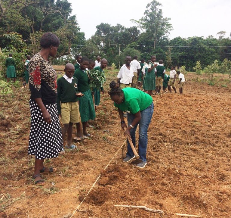 Interventions Through Schools – Rural Outreach Africa