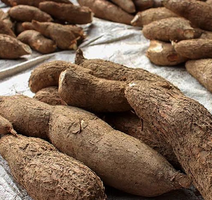 Nutrition and Food Security – Rural Outreach Africa