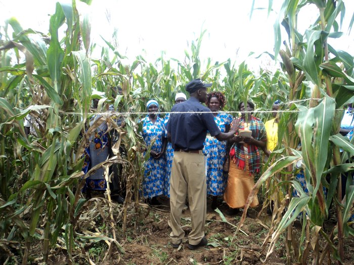 Butere Division Project – Rural Outreach Africa