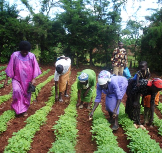 About ROA – Rural Outreach Africa